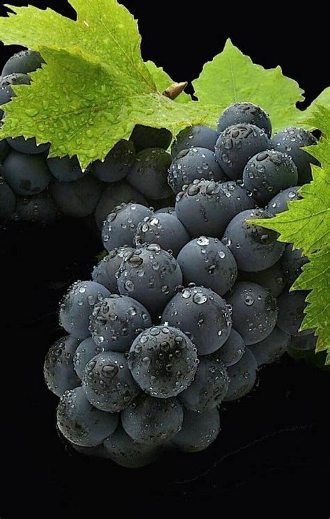 Краски жизни №2435970189 Фотострана Cайт знакомств развлечений и игр Fruit Photography