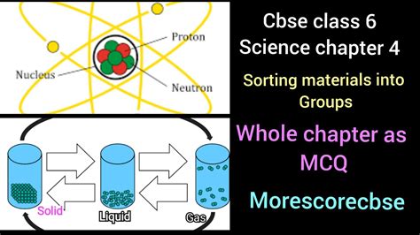 Cbse Class 6 Science Chapter 4 Sorting Materials Into Groups McQ Science Sorting Science Mcq