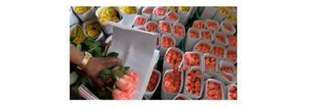 Dr M Vishwanath On Cultivating Flowers For Domestic And Export Markets