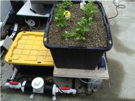 Build An Aquaponic Garden With Arduino — Gardening Make Aquaponic