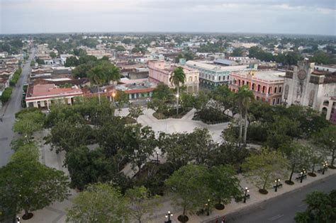 Multifunctions Of The Auxiliary Vegetation Structures On Conservation Habitat Quality A