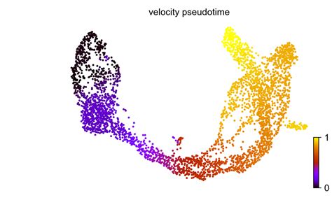Chapter 3 Trajectory Inference And Rna Velocity Hku Single Cell