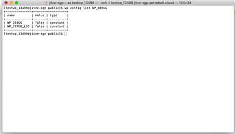 How To Track Wordpress Errors Using Wordpress Debug Logs Servebolt