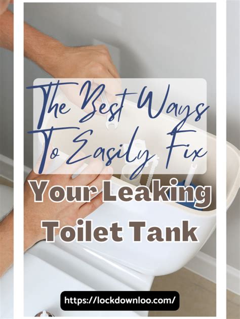 The Best Ways To Easily Fix Your Leaking Toilet Tank Lockdown Loo