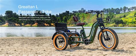 Expert Guide To Electric Passenger Trikes Discover The Best Models For