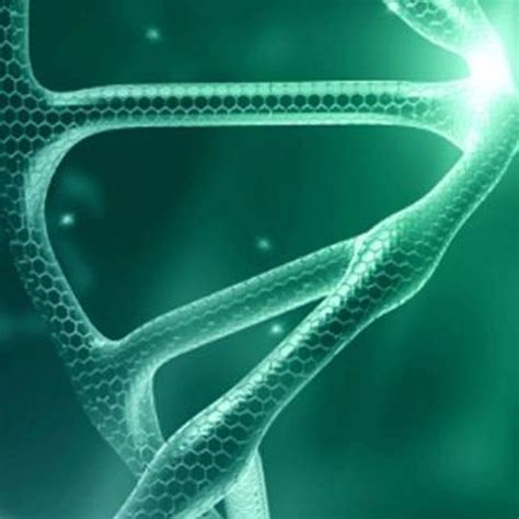 Twist Ngs Methylation Detection System Technology Networks