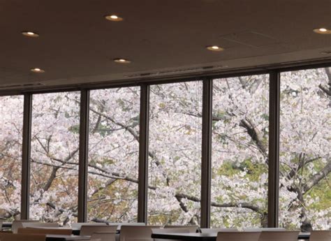 周南公立大学の人気の学食特集｜大学情報なら 日本の学校