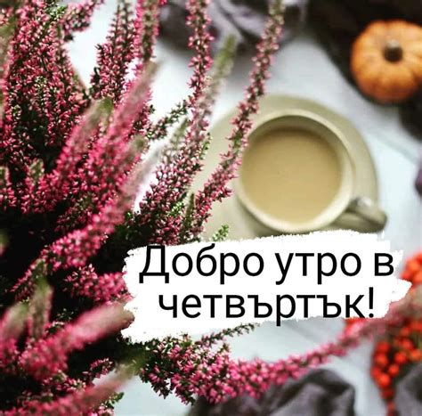Нежна «Забързаният четвъртък е вече тук Сноп от слънчеви лъчи Утрото ни подарява с нежен