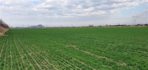 Пловдив Парцел в район Южен Земеделска земя 3500 кв м четвърта