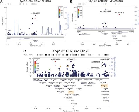 Whole Exome Imputation Of Sequence Variants Identified Two Novel