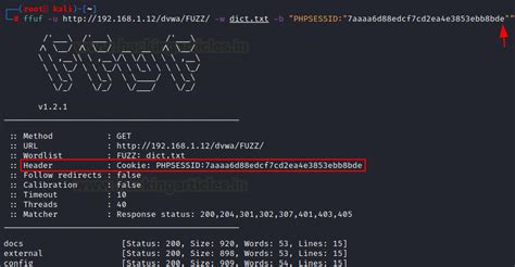 Comprehensive Guide On Ffuf