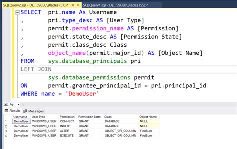 Sql Server Check User Permissions On Database