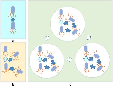 Figure 2 From Energy Driven Virtual Network Embedding Algorithm Based