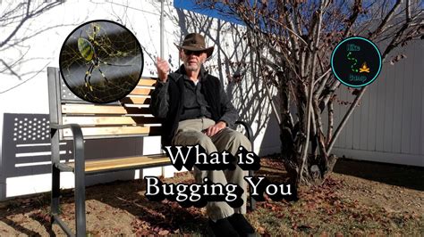 What Is Bugging You Youtube