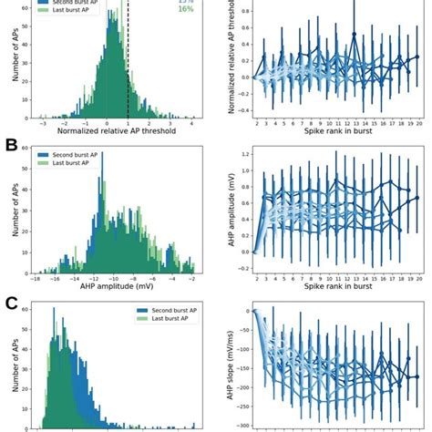 Membrane Pre Hyperpolarization Resulted In An Amplification Of Na Download Scientific Diagram