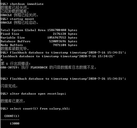 Oracle 原理： 闪回 Flashback