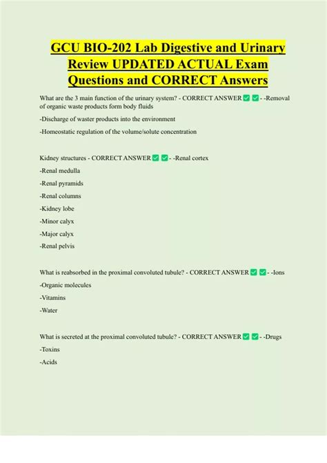 Gcu Bio 202 Lab Digestive And Urinary Review Updated Actual Exam Questions And Correct Answers