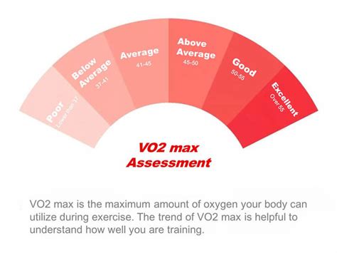 Improve Your Vo2 Max Lyonsdenfitness