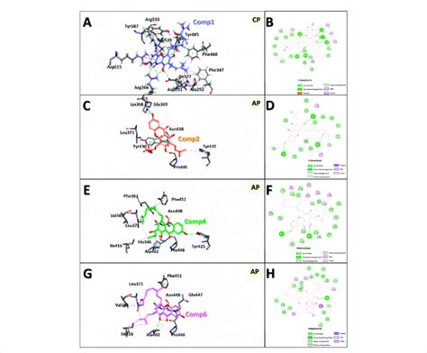 3d And 2d Binding Modes Of The Four Compounds With The Protein Obtained