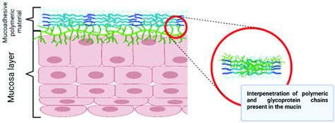 Diffusion Theory Mechanism Created With BioRender Com Download Scientific Diagram