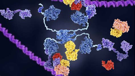 In Vitro Enzyme Assay Cutting Edge Research Da Ta Biotech