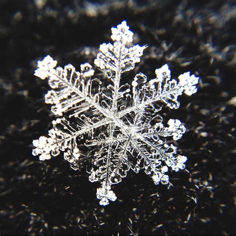 Premium Photo Macro Shot Of Snowflake