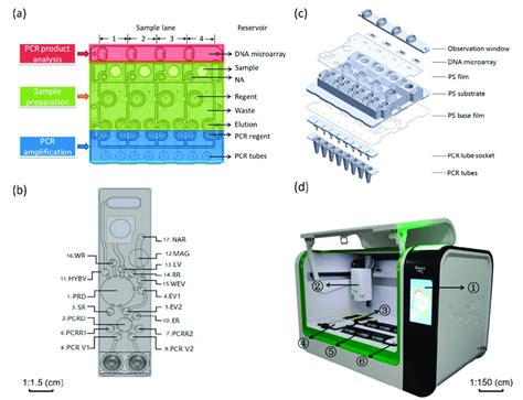 Illustration Of The Microfluidic System A Schematic Of Card A Card