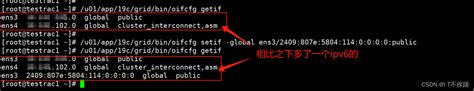 oracle 19c rac ipv6改造（ipv4 ipv6双栈配置） oracle ipv6 访问 csdn博客