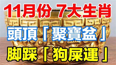 財運旺到爆！11月份7大生肖頭頂「聚寶盆」！腳踩「狗屎運」！財運蹭蹭往上漲！【佛之緣】 Youtube