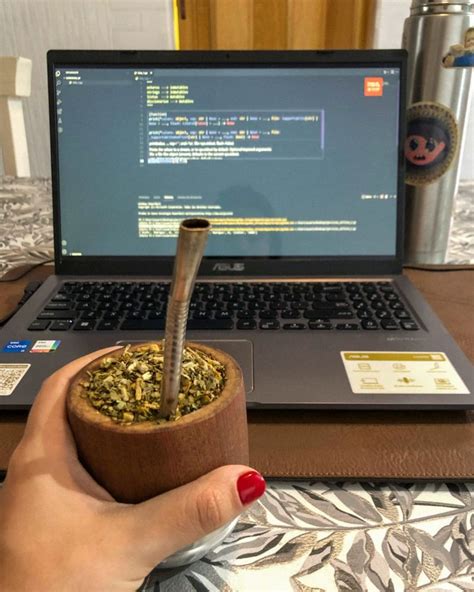 Python Diplomatura Desarrollo Programación Automatización Luz Pandiella