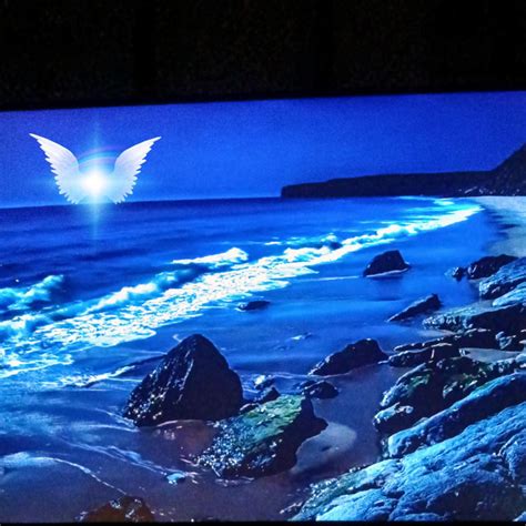 Sex On The Beach Single De Clarence Jimmy Roach Spotify