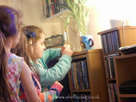 Wicked Uncle Review Aqua Dragons And Ant Farm Sets
