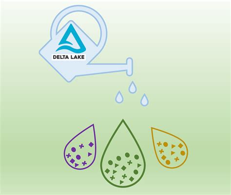 Harnessing The Potential Of Databricks Liquid Clustering A Dynamic