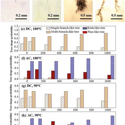 Typical Electrical Tree Shape And Tree Shape Probabilities Under Dcac