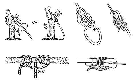 Bends Derived From Enhanced Bowlines That Work For Different Sized
