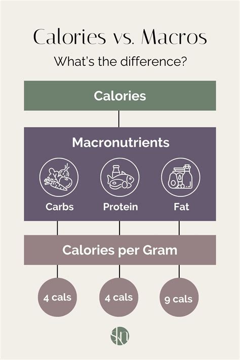 Calories Vs Macros Which Is Better For Weight Loss Stephanie Kay