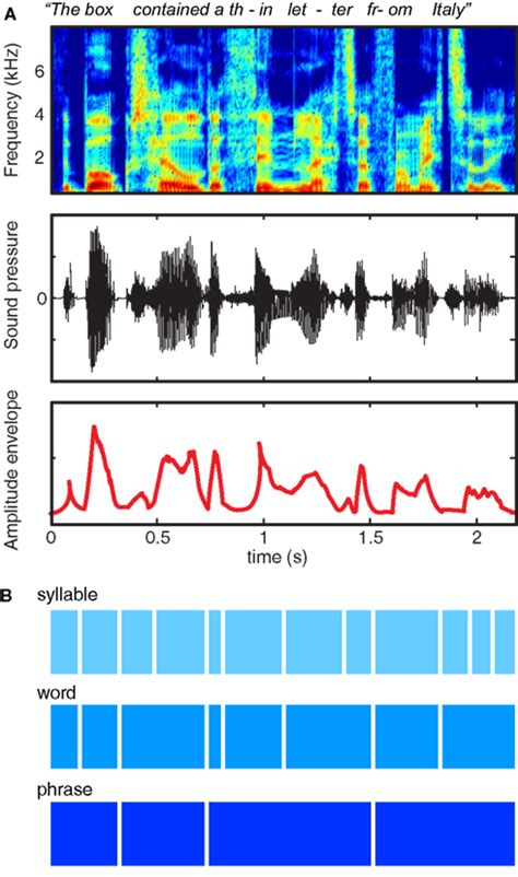 Multiple Representations Of The Acoustic And Linguistic Information In Download Scientific