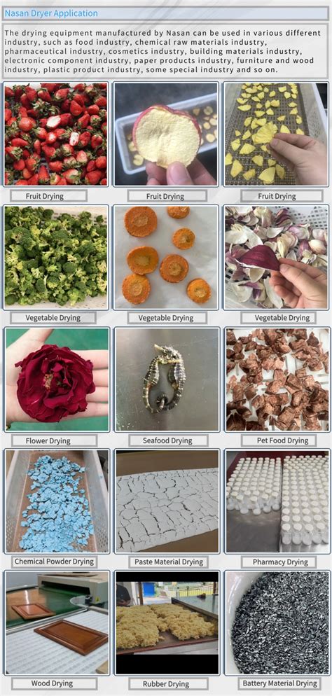 Small Fruit Dehydrator Drying Machine Nasan