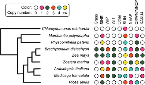 Coulson Plot For Nuclear Envelope Proteins In Evolutionary Diverse Land Download Scientific