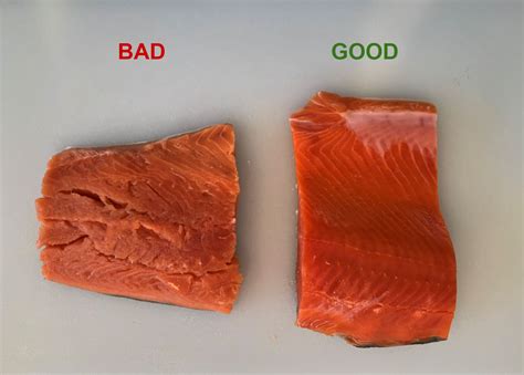 How To Tell If Salmon Is Bad Watch Out For These Signs Alaskan Salmon Company