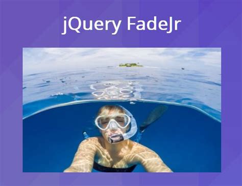 Shuffle Images With Fade Inout Animations Jquery Serialshuffle
