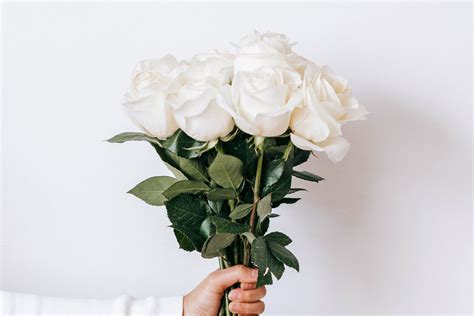 White Roses And Their Meaning Flower Addict Singapore