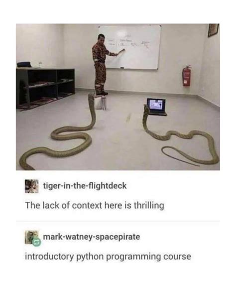 Introductory Python Course The Most Literal Interpretation ·