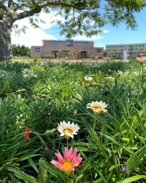 Siyu Wang On Linkedin It Is A Beautiful Day At Bond University Walk
