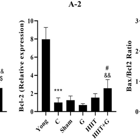 Primer Sequence Of Research Variables Download Scientific Diagram