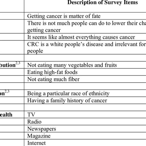 Description Of Latent Variables And Confirmatory Factor Analysis