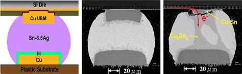 A Schematic Of A B Image Of Bump C Image Of Bump Download Scientific Diagram