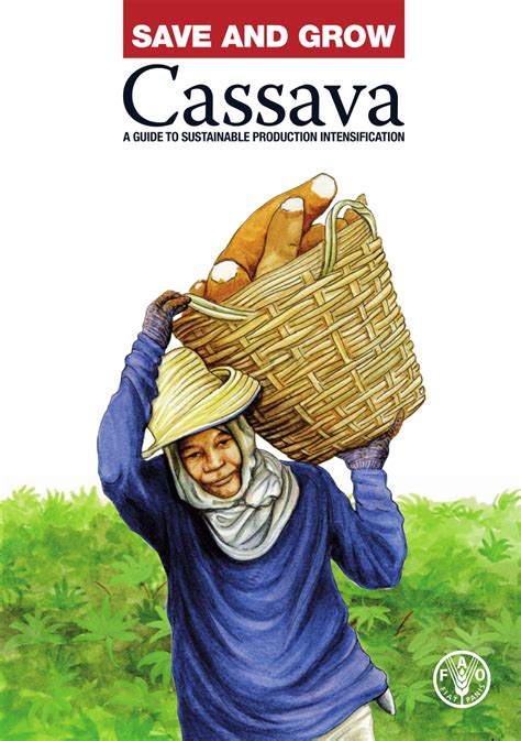 Pdf Extrusion Of Blends Of Cassava Leaves And Cassava Flour Physical