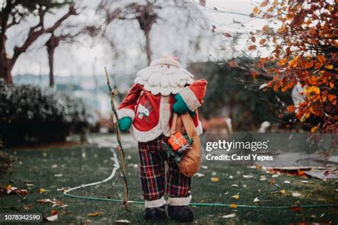 Carol Stoops Photos And Premium High Res Pictures Getty Images