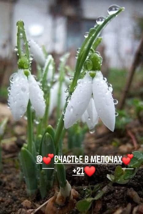💞СЧАСТЬЕ В МЕЛОЧАХ💞 21 А завтра МАРТ